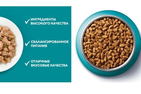 Purina One корм для кошек (Пурина Ван): отзывы ветеринаров, сухой и ...