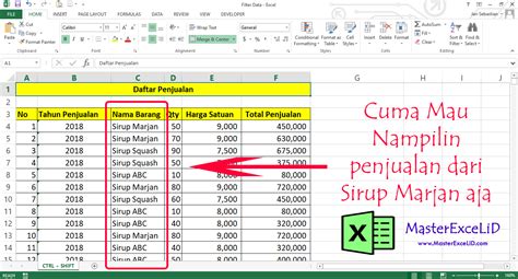 belajar excel filter data dan cara cepat filter data masterexcel id