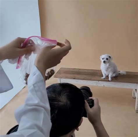 슈르연구소 On Twitter 그리고 가장 귀엽고 고생한 대박이🐾 ️ Iig6fidl8m Twitter