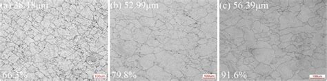 Microstructure Evolution Of The Specimens After Deformation At 950 °c