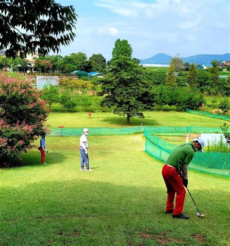 파크골프 스탠스 정렬방법 파크골프 샷의 종류