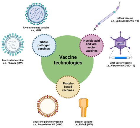 Schematic Representation Of Vaccine Technologies And Examples Of Download Scientific Diagram