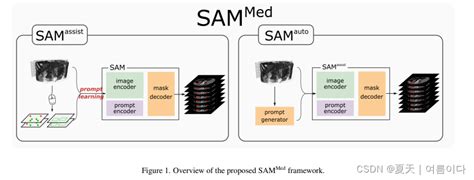 Cv Sam在医学影像上的模型调研【20240223更新版】medsam 2024 Csdn博客