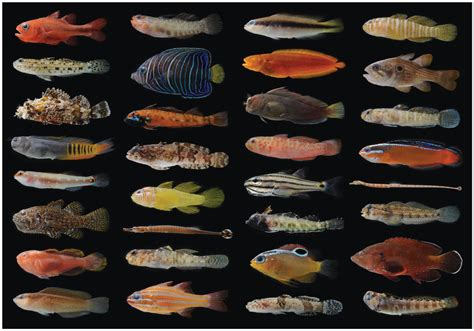 Github Simonjbrandl Uae Crypto Communities Full Project Repo For The Uae Crypt Project