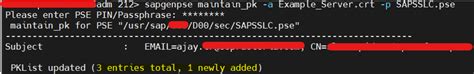 Manual Sap Ssl Configuration For S4 Hana Abap An Sap Community