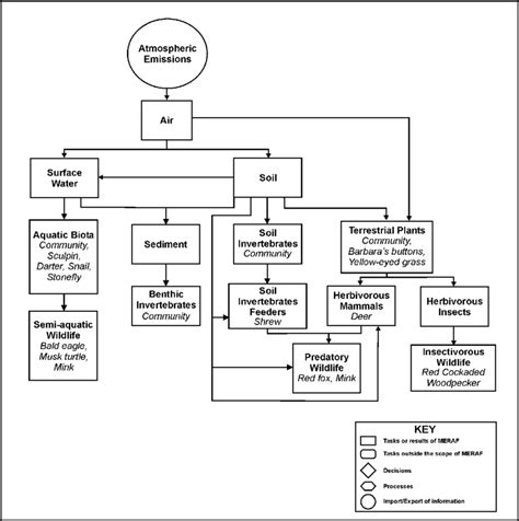 6 1 Example Of A Conventional Conceptual Model For Exposure To Download Scientific Diagram
