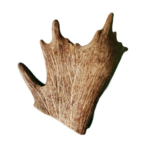 Bois De Daim 100 Naturel Friandise Pour Chien Heureux