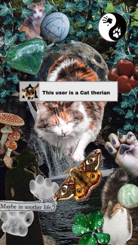 Therian Wallpaper Calico Cat