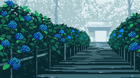 100 Days Of Coding Day 8 Dev Community