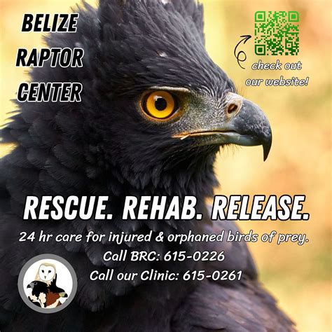 belize raptor center story time will not be held at the san ignacio