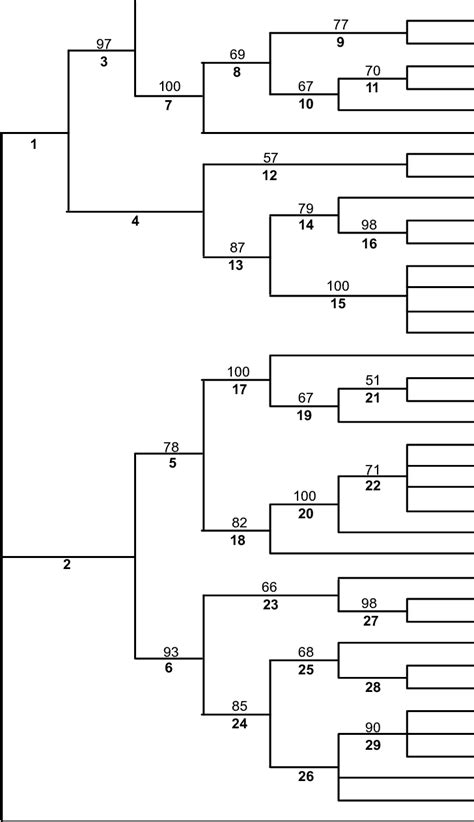 Strict Consensus Tree Of 90 Equally Parsimonious Trees For The Its Data Download Scientific