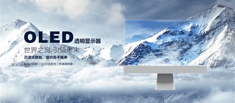 Oled透明屏 深圳市奥振电子科技有限公司