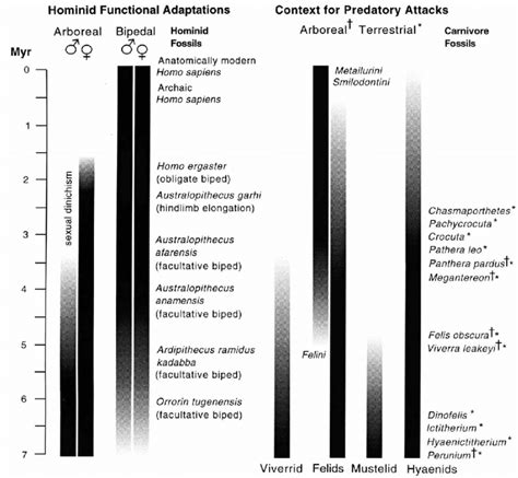 Time Frame Of Sexual Dinichism Difference In Habitat Use And Relaxed