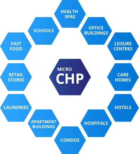 Dbs Power And Energy Micro Chp