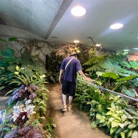 Tomoki Inoue Youtube