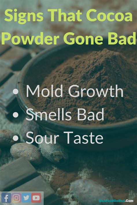 Does Cocoa Powder Expire An Ultimate Guide How To Properly Store Cocoa Powder Can Food Go Bad