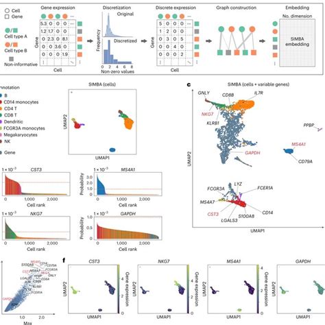 batch correction analysis of scrna seq data using simba a simba graph