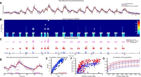 Simultaneous Denoising Deconvolution And Demixing Of Calcium Imaging Data Neuron