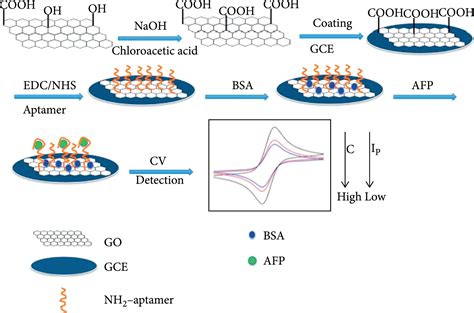 Recent Progress Of Biomarker Detection Sensors Research