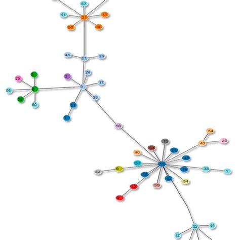 Development Of A New Mlst Scheme The Flowchart Demonstrates The Second Download Scientific