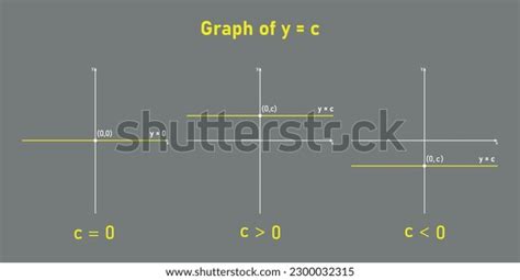 Graph Constant Function Horizontal Line Types Stock Vector Royalty