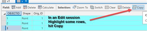 Solved How To Copy Paste Into Attribute Table From Excel Esri Community