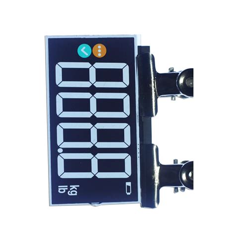 Black Va LCD Display Factory Customized Size Tn Htn FSTN Display Segment Monochrome COB Cog