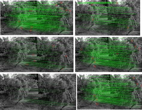 Matching Process Results By Sift Surf Rkem Sift And Crkem Sift On Download Scientific