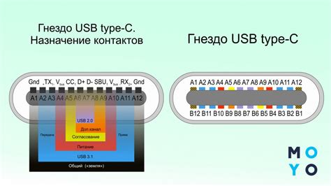 Типы USB разъёмов — какие бывают USB: информация в 3 разделах