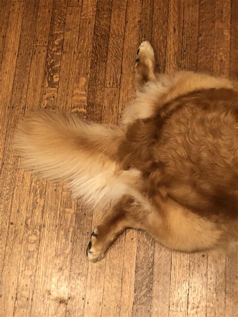 Spread Those Legs R Aww