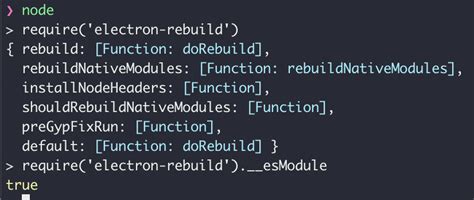 Typeerror Rebuild Is Not A Function When Using With Electron