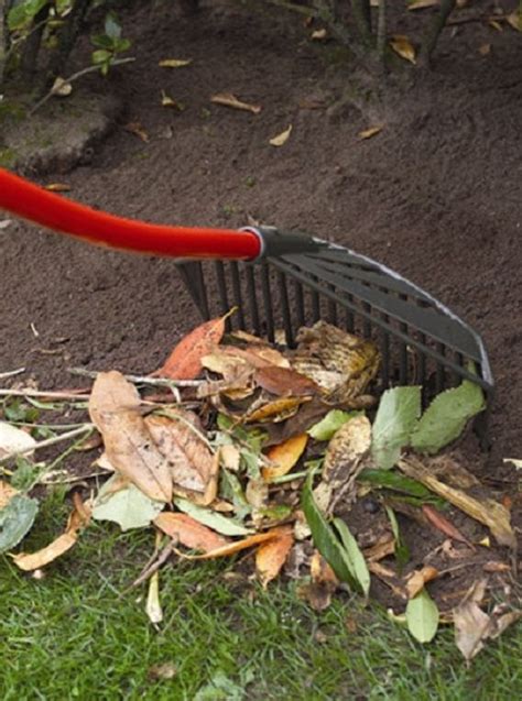 Root Assassin Rake Assassin The Easy Way To Do Your Yard Work