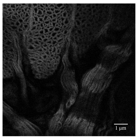 Sensors Free Full Text Active Aberration Correction With Adaptive