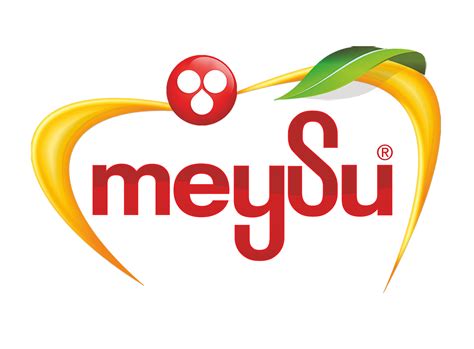 მაღაზიათა ქსელი თურსა