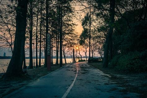 Premium Photo Road In Russian Forest