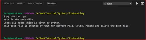 File Handling In Python With Example Dot Net Techpoint