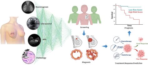 Deep Learning In Breast Cancer Imaging A Decade Of Progress And Future Directions Paper And