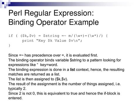 Ppt Efficient Input Validation In Perl Regex Essentials Explained Powerpoint Presentation