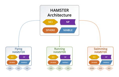Hamster Versions And Specific Modules For Criticality Estimation Nci Download Scientific
