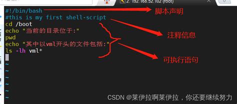 shell编程规范与变量