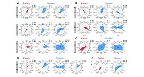 Tuning Properties Of Patterns Pattern Tuning Curves TCs Are Shown Download Scientific