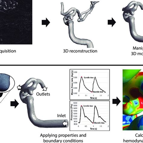 Examples Of Computed Fluid Dynamics Cfd Results Velocity Evaluation