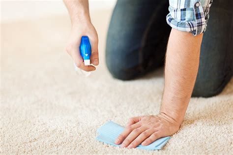 How To Remove Old Rust Stains From Carpet Simple Solutions Homenish