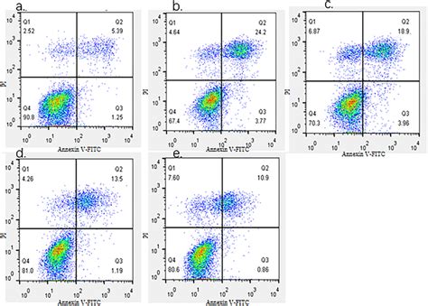 Apoptosis Evaluation As Detected By Flow Cytometry Vertical Axis