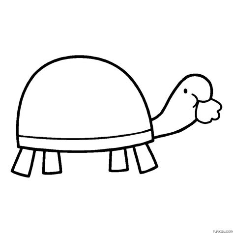 Animal Turtle Coloring Page For Adults Turkau