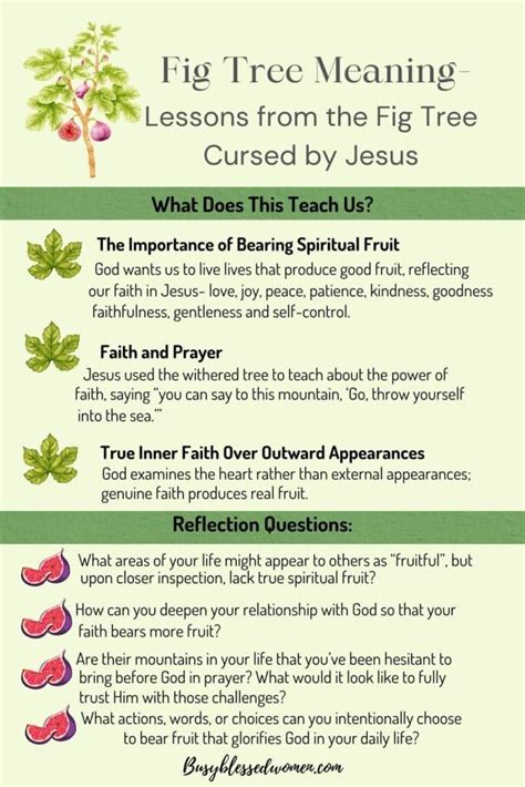 Fig Tree Meaning Lessons From The Fig Tree Cursed By Jesus