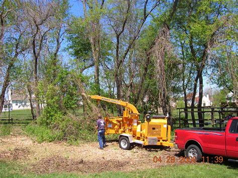 Andrew Vilcheck Brush And Tree Clearing