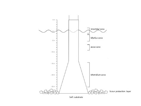 1 the different community depth zones formed along a gravity based