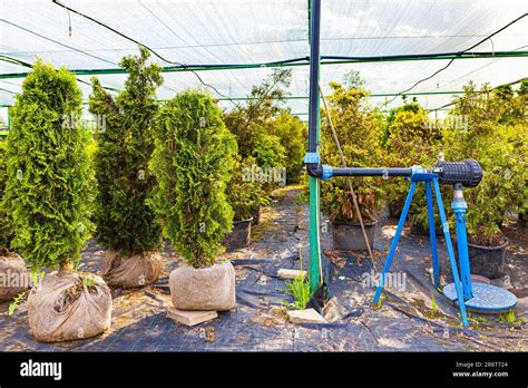 Water Irrigation System Consisting Of A Pump And Pipes In A Plant Nursery Plant Watering System