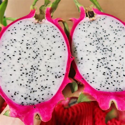 오늘과일 베트남 열대 과일 백용과